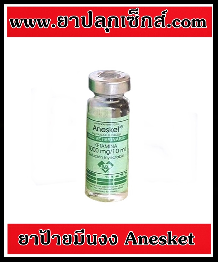 ยาป้ายมึนงง Anesket - ขายยาปลุกเซ็กส์ ทิงเจอร์ขาว ขายยาสลบ ยานอนหลับ ...